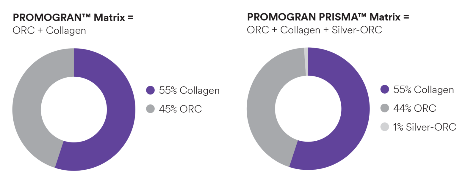 PROMOGRAN Family Challenge – Infection vs Inflammation